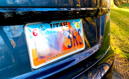 License Plate Privacy Cover Camera Blocker Anti-Camera – camerastopper